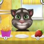 My Talking Tom 3 - Play Online My Talking Tom 3 on Charlie the Steak